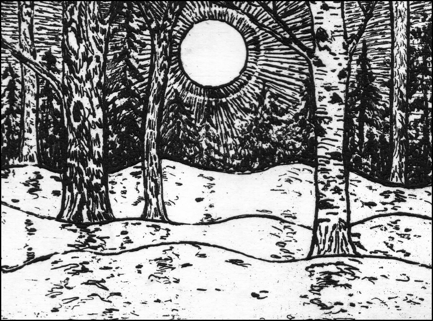 Etching Cards – Turtle Ridge Gallery