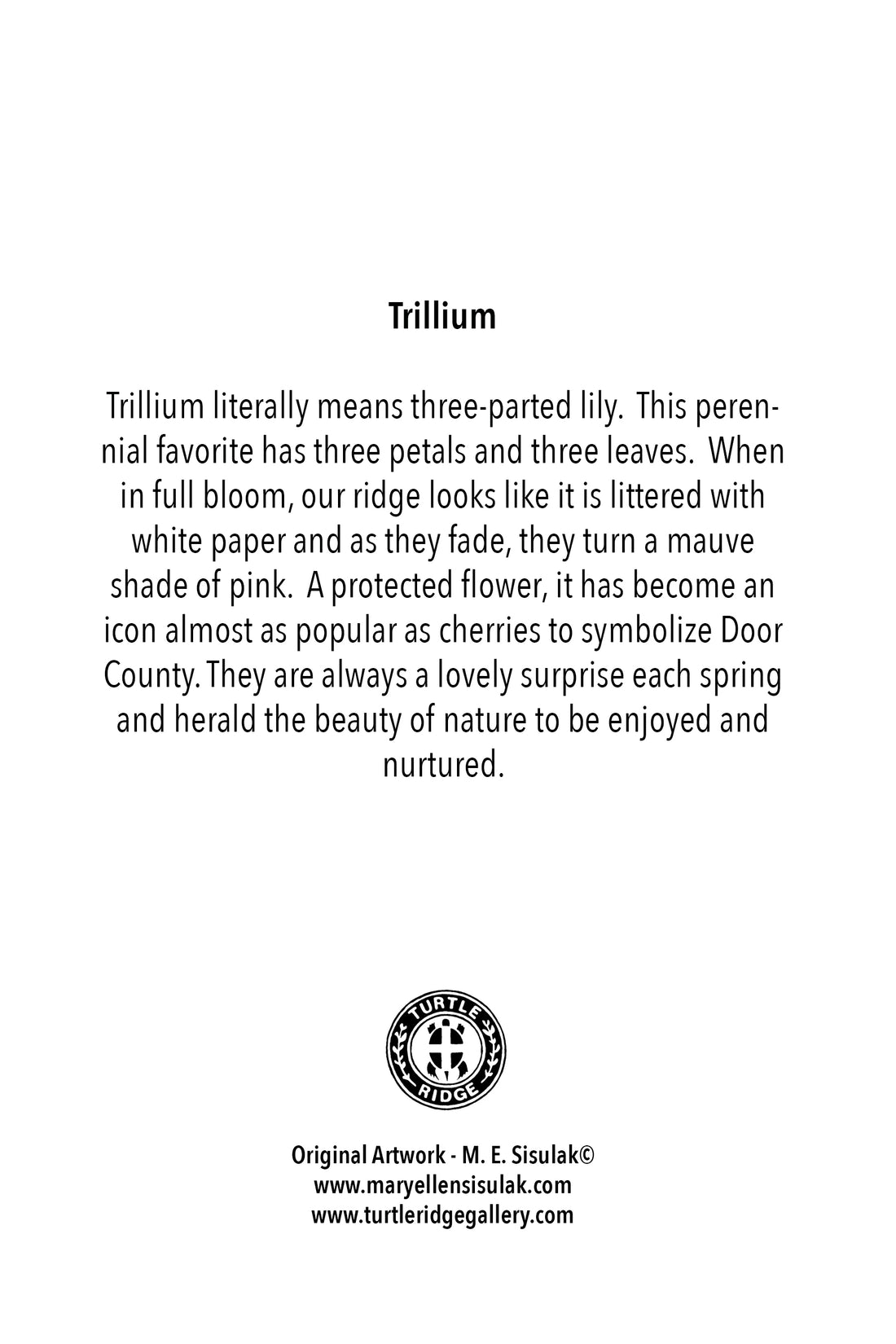 High-Quality Handmade Leather Bags & Backpacks by Turtle Ridge Gallery