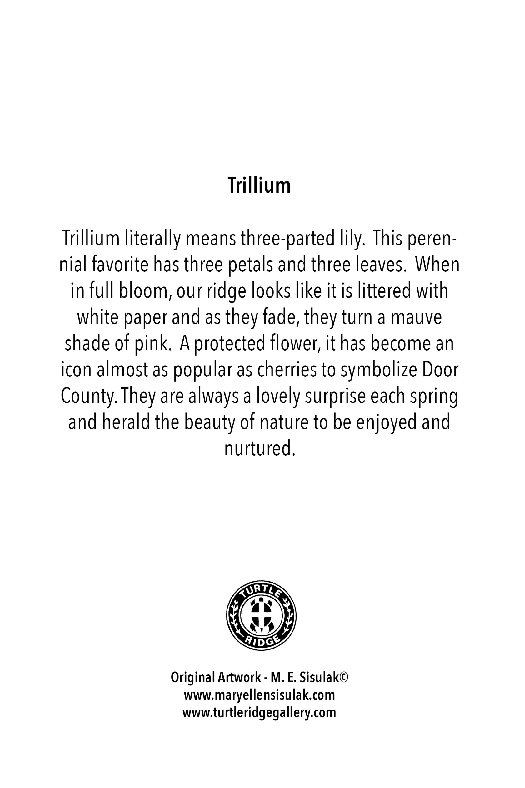 High-Quality Handmade Leather Bags & Backpacks by Turtle Ridge Gallery