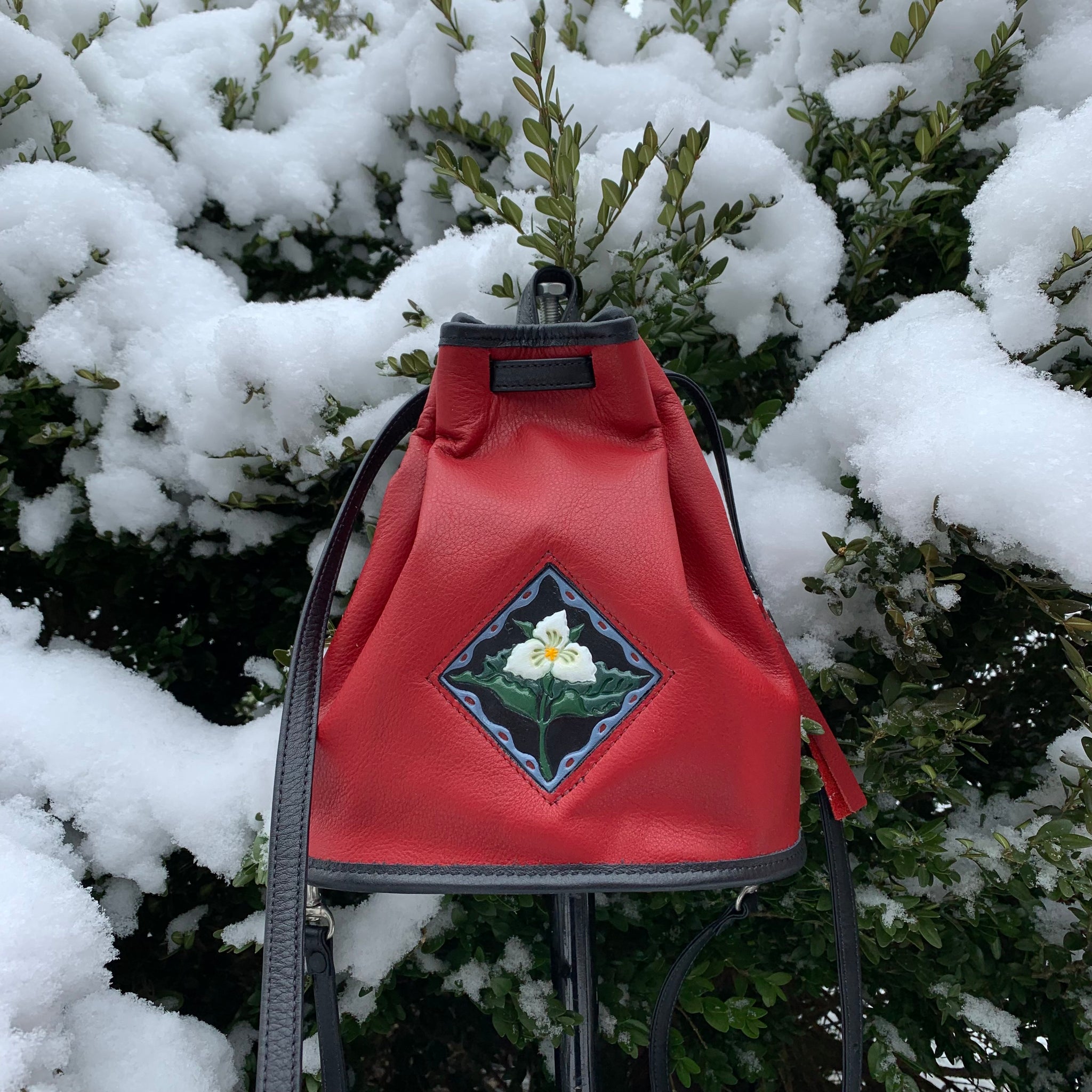 Mini Pack – Turtle Ridge Gallery